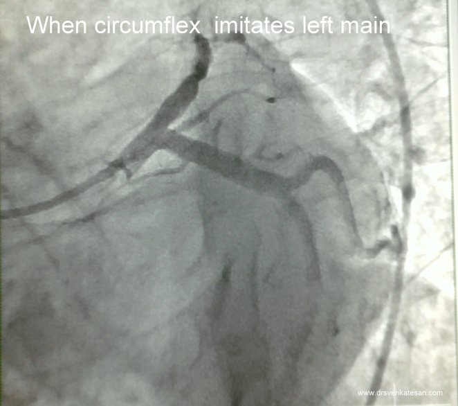 cardiology-Anatomy | Dr.S.Venkatesan MD | Page 2