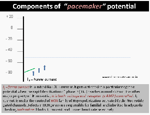 Do not make fun with this current . . . It is the rhythm of your life ...
