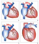 cardiology-Anatomy | Dr.S.Venkatesan MD