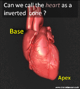 cardiology-Anatomy | Dr.S.Venkatesan MD