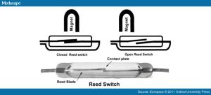 What is the role of magnet in pacemaker evaluation ? | Dr.S.Venkatesan MD