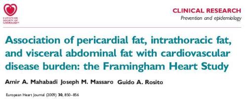 How to measure and quantify epicardial fat ? | Dr.S.Venkatesan MD