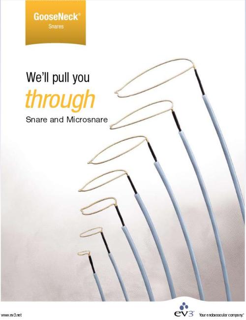 Essential cath lab hardware : Snares and retrieval of foreign bodies ...