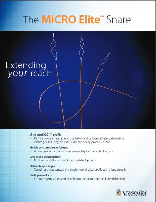 Essential cath lab hardware : Snares and retrieval of foreign bodies ...