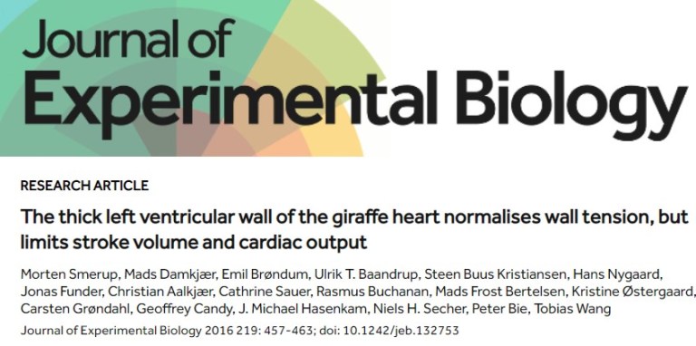 hemodynmaic of giraffe’s heart | Dr.S.Venkatesan MD