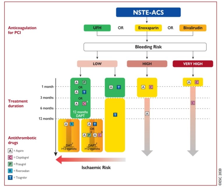 coronary anatomy in nsteacs dapt mapt | Dr.S.Venkatesan MD