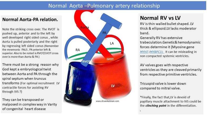 embryology of heart | Dr.S.Venkatesan MD