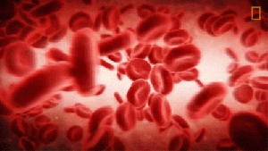 anemia in cardiac failure | Dr.S.Venkatesan MD