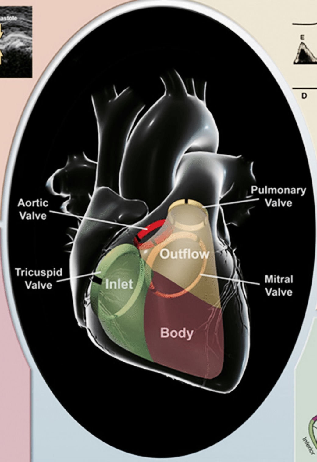 An extract of “Illustrative echocardiography” in Twenty pages. | Dr.S ...