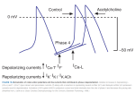 What happens to PR Interval in Sinus bradycardia? | Dr.S.Venkatesan MD